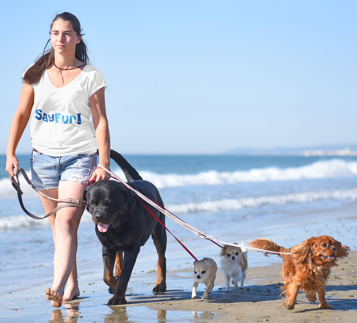 Training and Behavior – SayFur