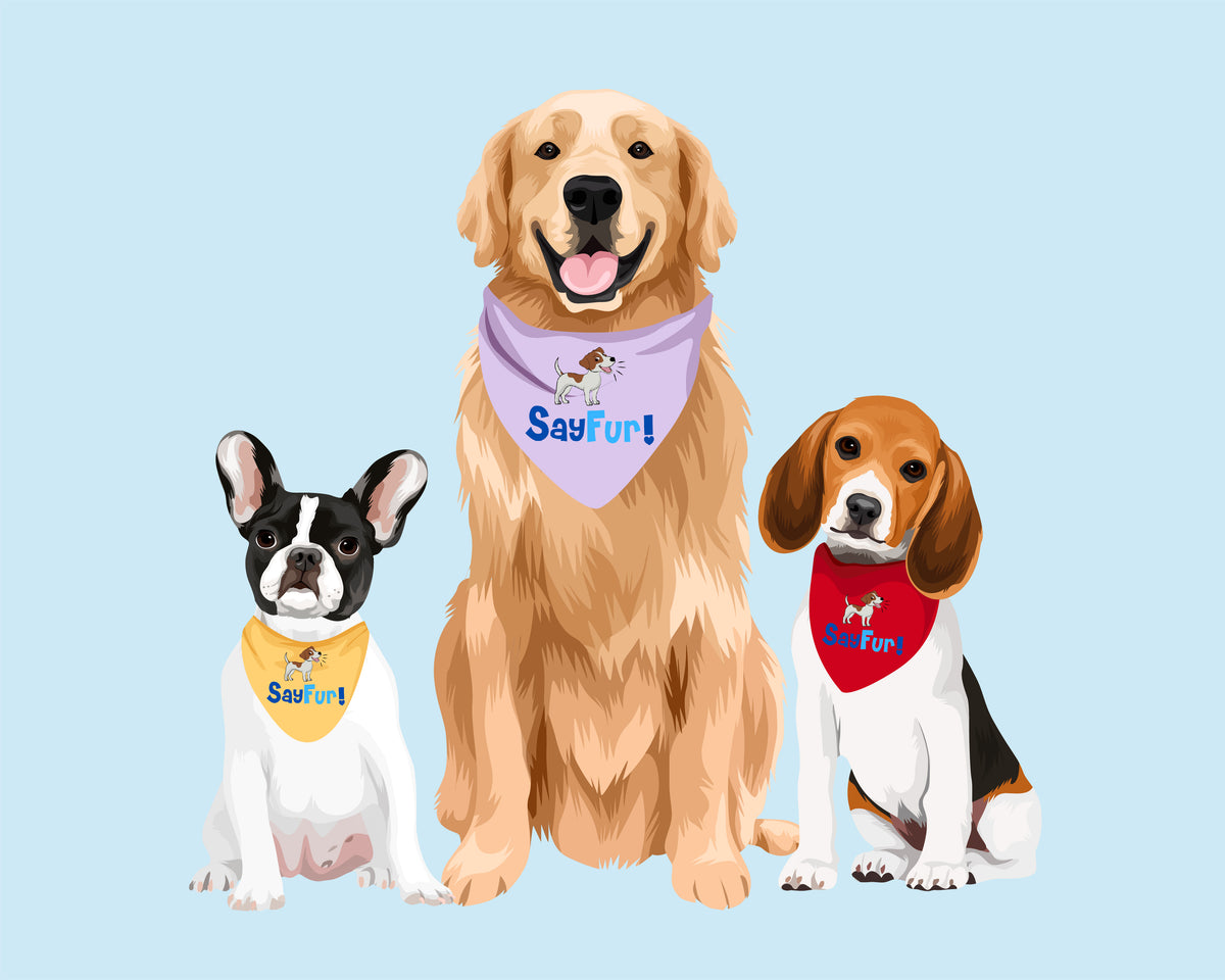 Best Sellers – SayFur